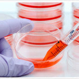 Collections - Cellecta