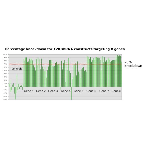 shRNA Cloning Vectors - Cellecta