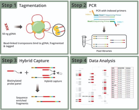 DriverMap Adaptive Immune Receptor (AIR) TCR-BCR Profiling - Cellecta