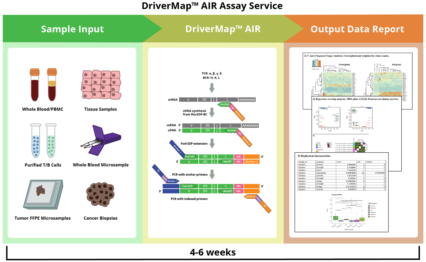 DriverMap Adaptive Immune Receptor (AIR) TCR-BCR Profiling - Cellecta