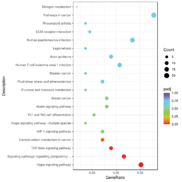 Targeted RNA-Seq Expression Data Analysis - Cellecta