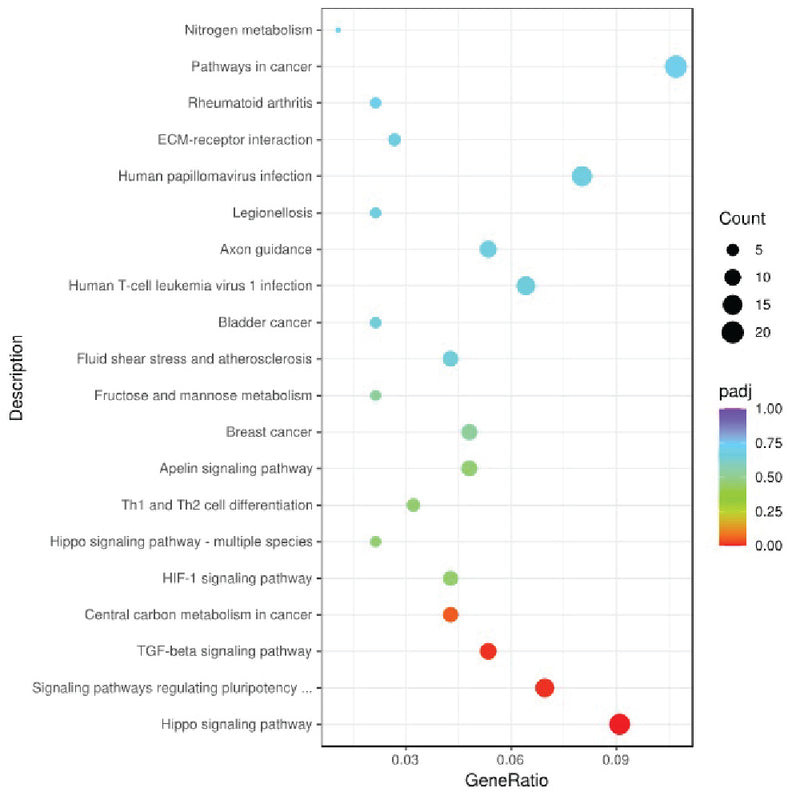 Targeted RNA-Seq Expression Data Analysis - Cellecta