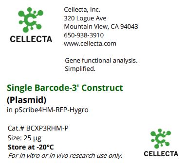 Single Expressed Barcode-3 Construct with RFP-Puro or Hygro | Cellecta, Inc - Cellecta