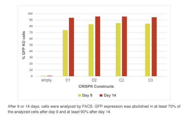 Custom sgRNA Constructs - Cellecta