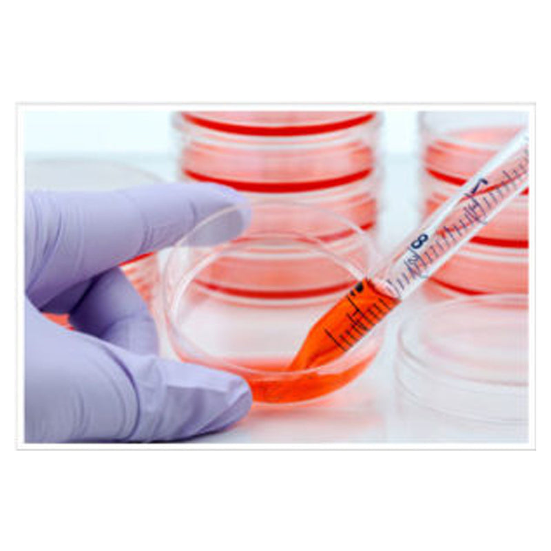 Custom Engineered Knockout / Knock-In Cell Lines - Cellecta