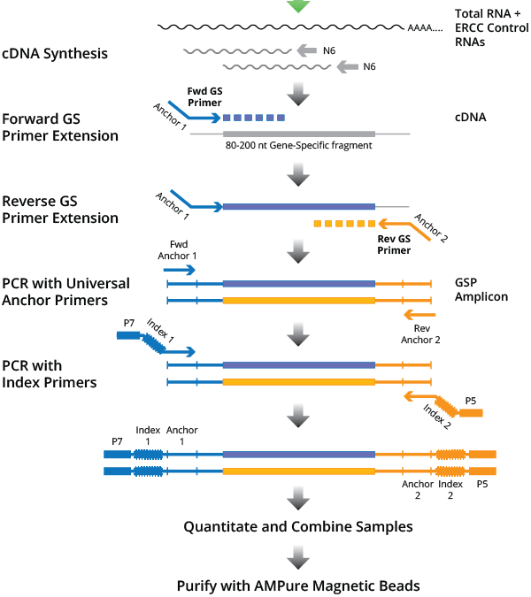 DriverMap Targeted RNA Sequencing Expression Profiling (EXP) Service - Cellecta