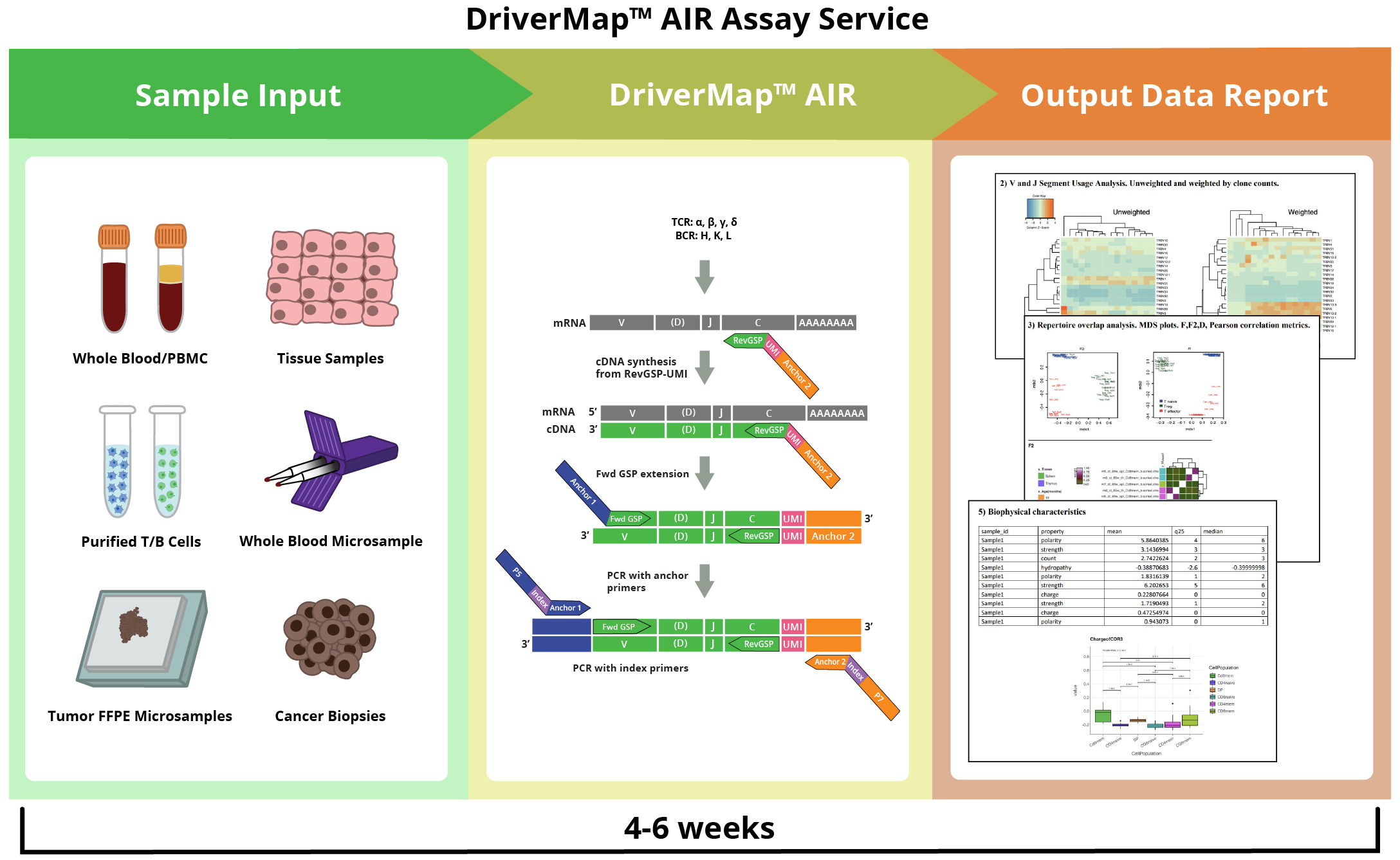 DriverMap Targeted RNA Sequencing Expression Profiling (EXP) - Cellecta DriverMap Targeted RNA Sequencing Expression Profiling (EXP) - Cellecta