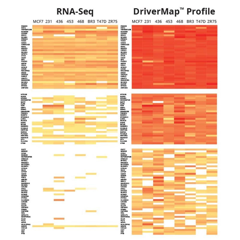 DriverMap Targeted RNA Sequencing Expression Profiling (EXP) Service - Cellecta