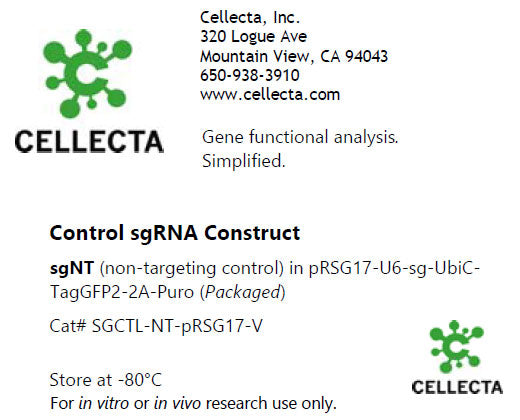 Custom sgRNA Constructs - Cellecta