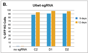 Custom sgRNA Constructs - Cellecta